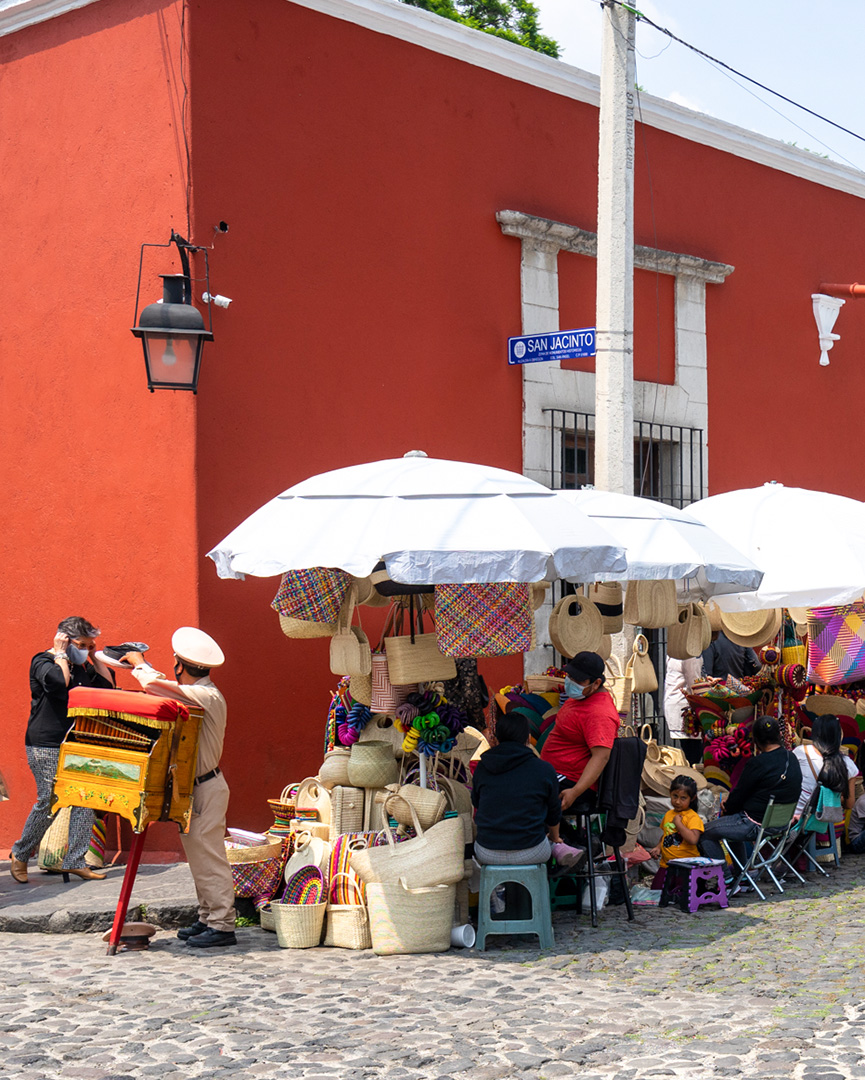 Floating Gardens & San Angel Art Saturday Market - Santini Experiences